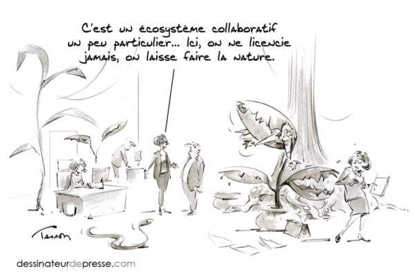 collaboration humour - Tesson, dessinateur de presse, dessin ...
